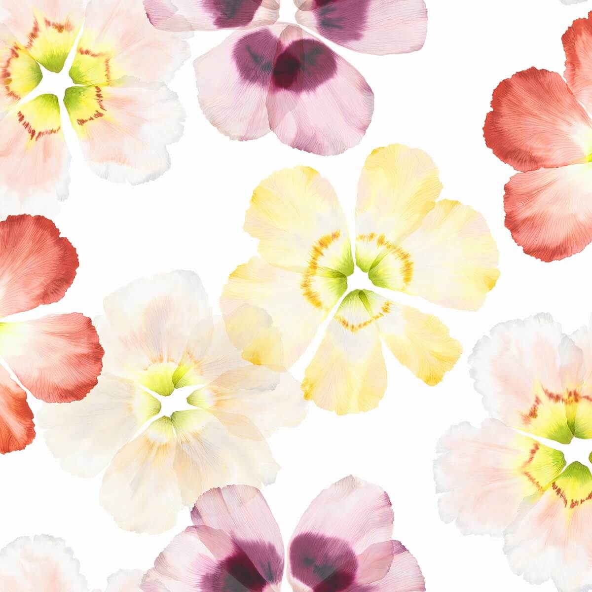 Schlossberg Satin Bettwäsche Aurora | Betten Ritter